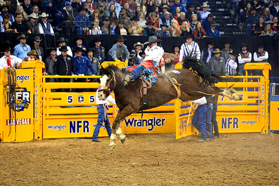 Gerry Rodeo Winner Captures Third Straight World Title | News, Sports ...